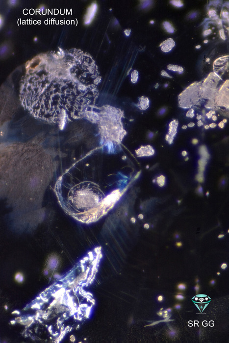 Galerie photo :: R2V